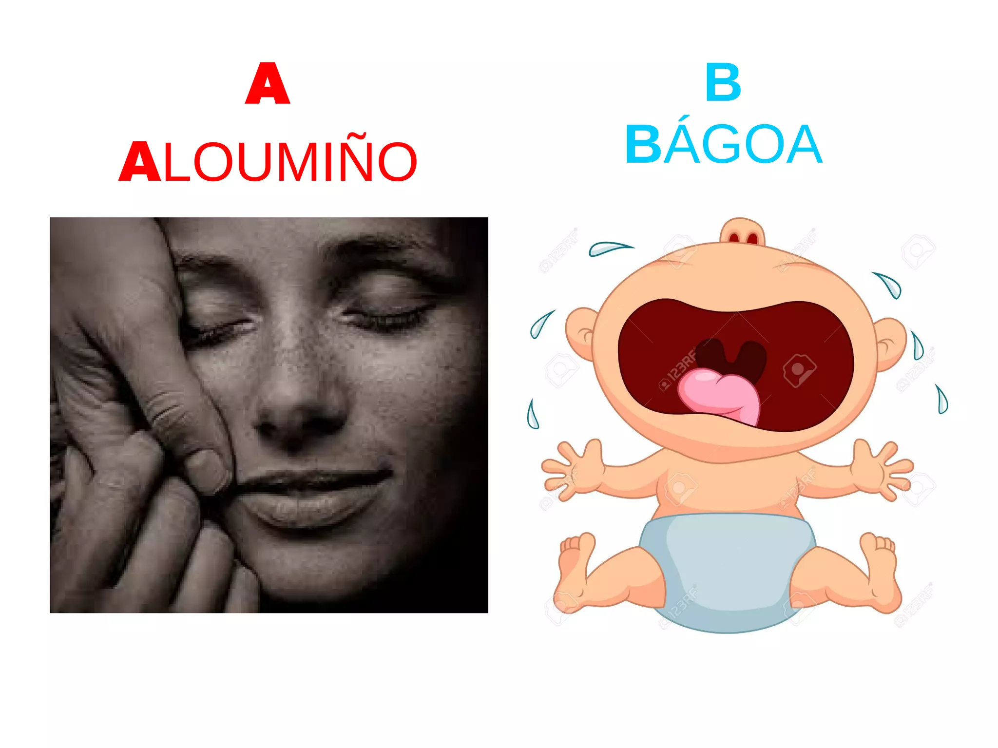 Alfabeto galego | PPT