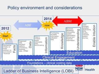 Alfa D'Amato - NSW ABF Taskforce | PPT