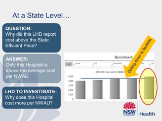 Alfa D'Amato - NSW ABF Taskforce | PDF