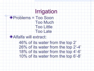 Alfalfa | PPT