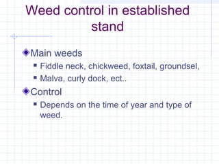 Alfalfa | PPT | Agriculture | Industries