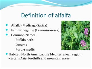 Alfalfa & hypercholesterolemia | PPT