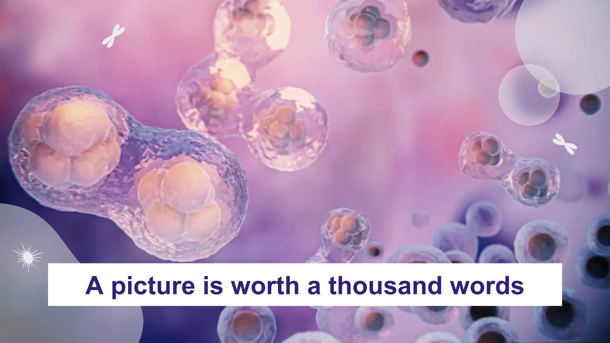 Cell division PowerPoint presentation.pptx