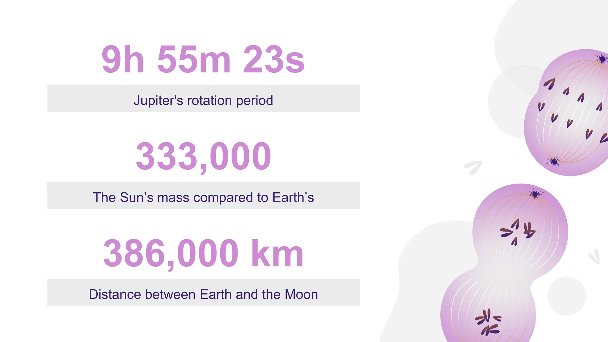 Cell division PowerPoint presentation.pptx