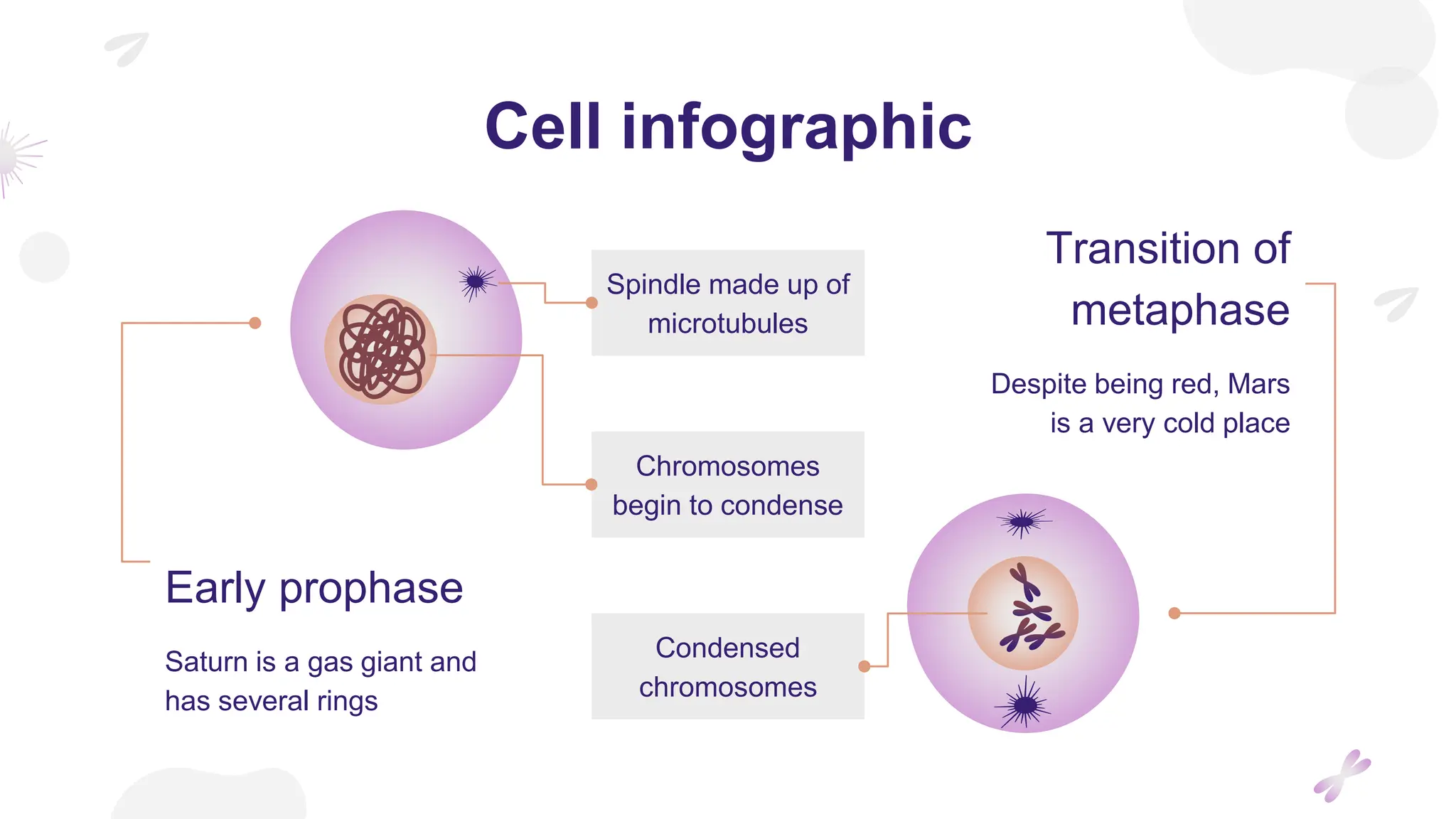 Cell division PowerPoint presentation.pptx