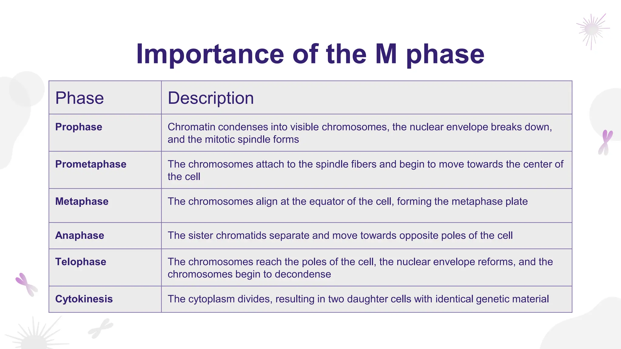 Cell division PowerPoint presentation.pptx | Biological Sciences | Science
