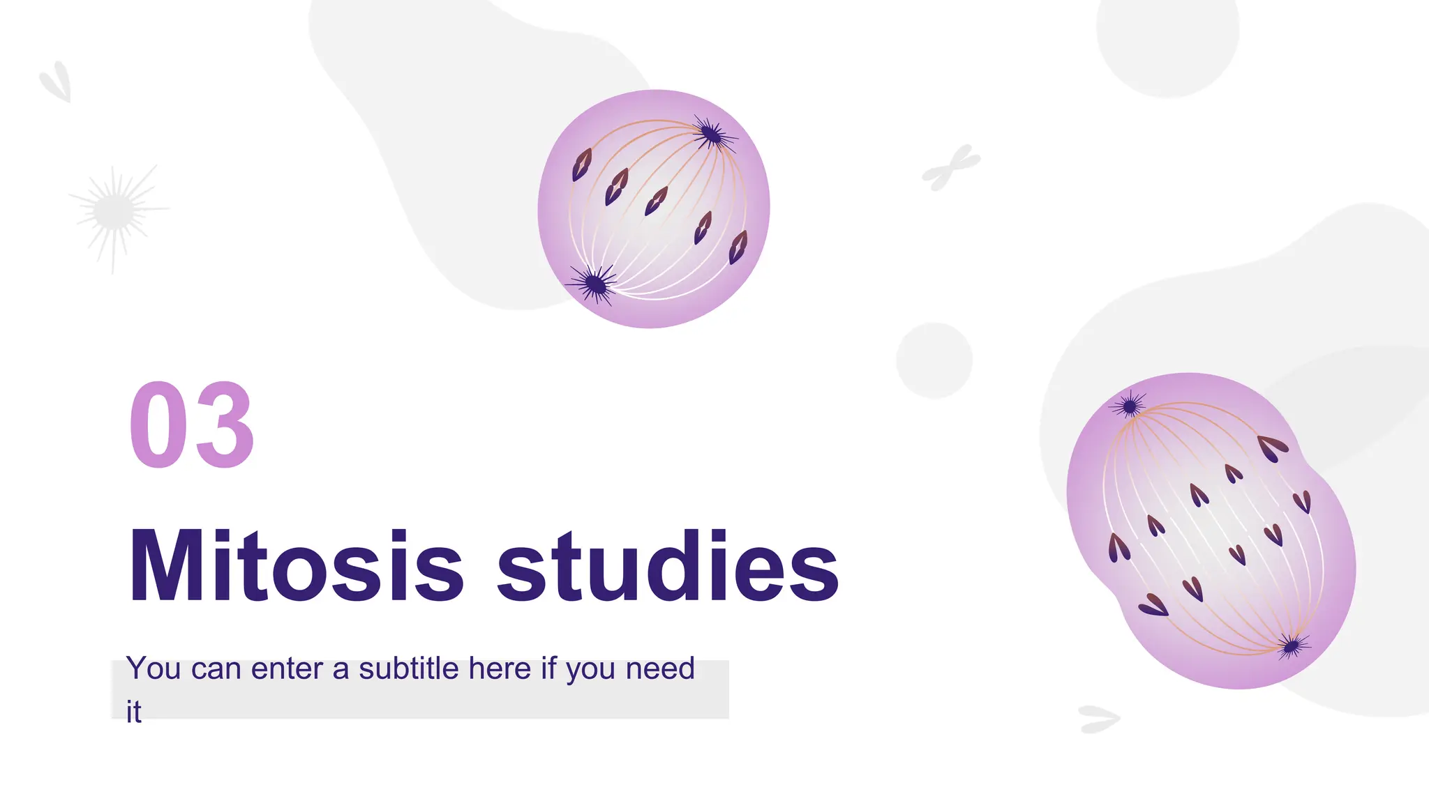 Cell division PowerPoint presentation.pptx