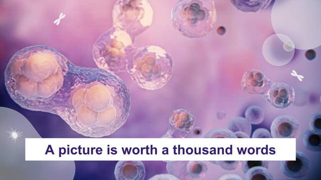 Cell division PowerPoint presentation.pptx