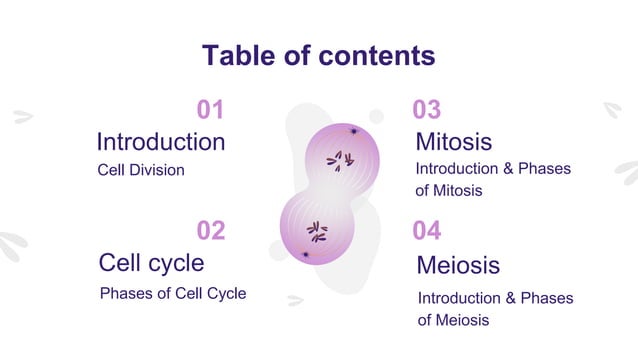 Cell division PowerPoint presentation.pptx