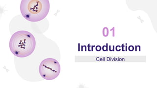 Cell division PowerPoint presentation.pptx