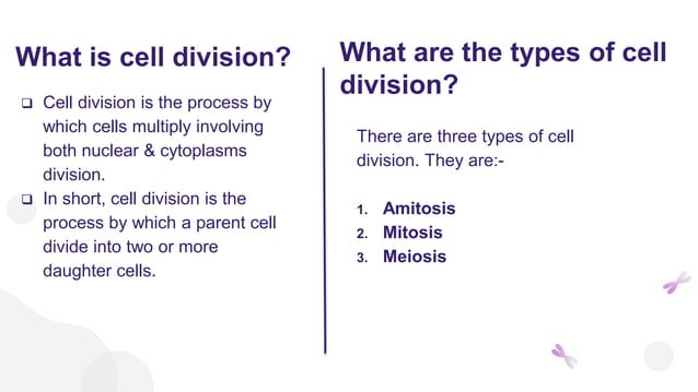 Cell division PowerPoint presentation.pptx