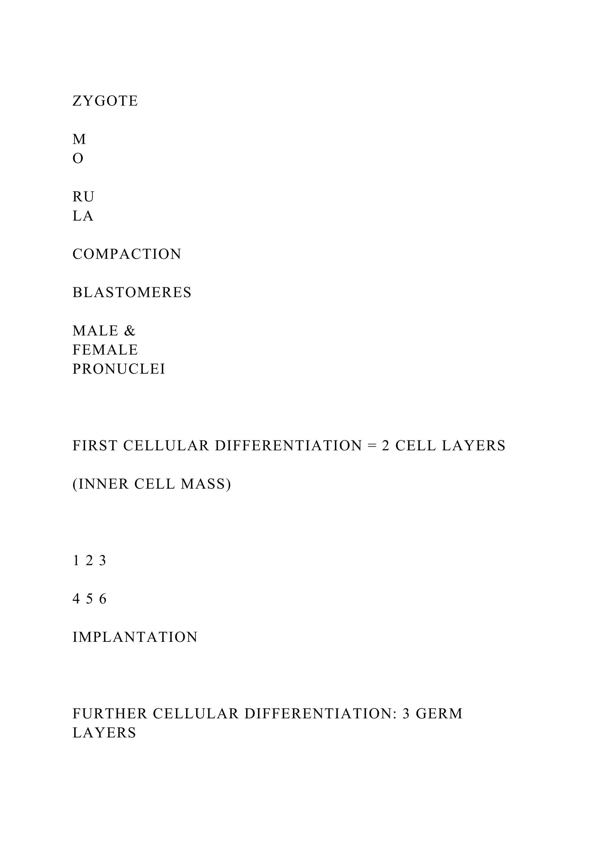 ALFRED CIOFFI• CATHOLIC PRIEST, ARCHDIOCESE OF MIAMI.docx