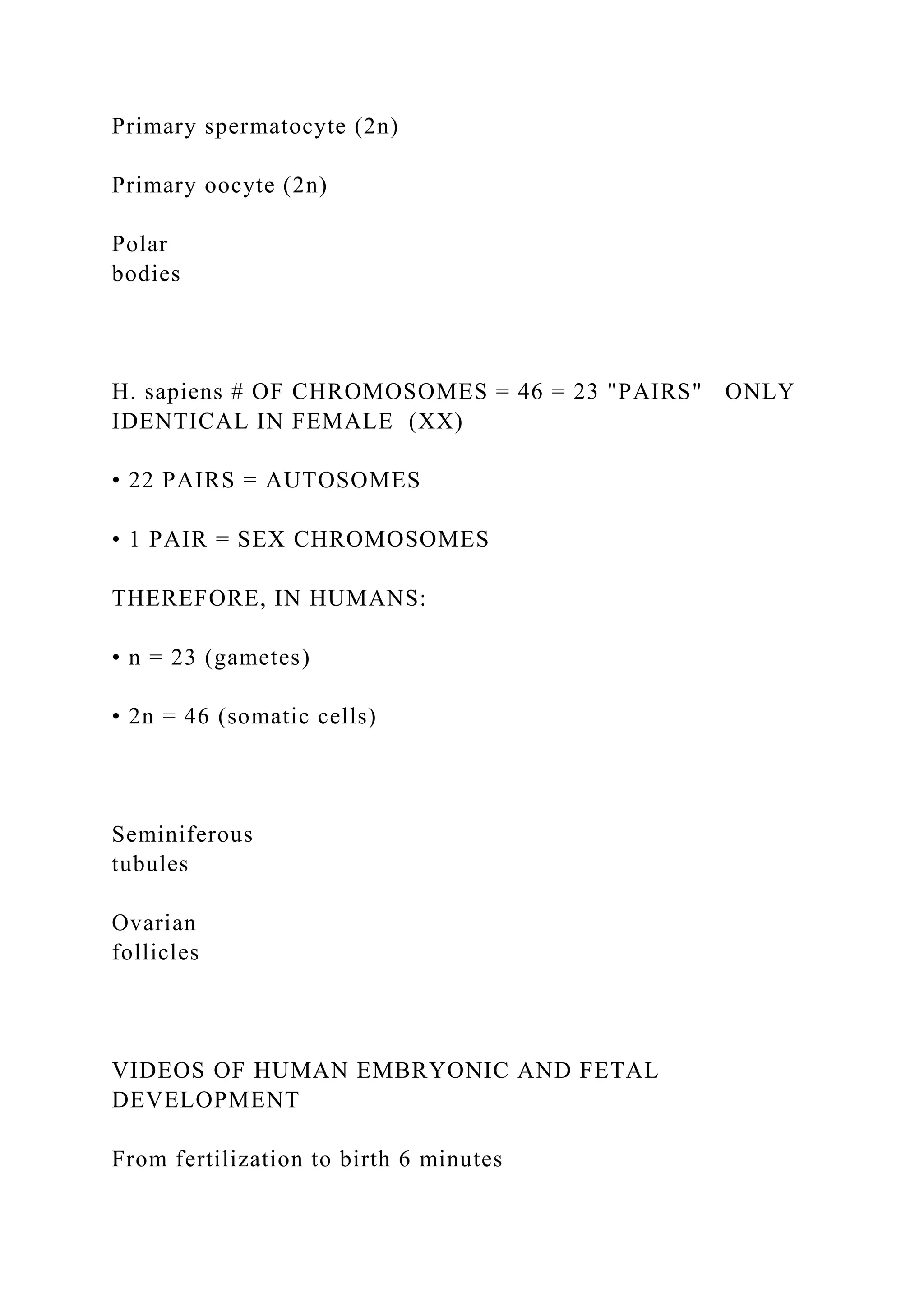 ALFRED CIOFFI• CATHOLIC PRIEST, ARCHDIOCESE OF MIAMI.docx