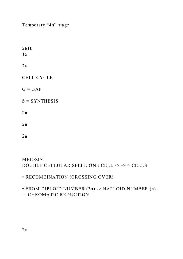 ALFRED CIOFFI• CATHOLIC PRIEST, ARCHDIOCESE OF MIAMI.docx