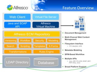 Alfresco Document Management System