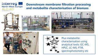 ALG AD project - SaltGae Final event | PDF