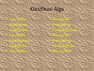 Alga | PPT