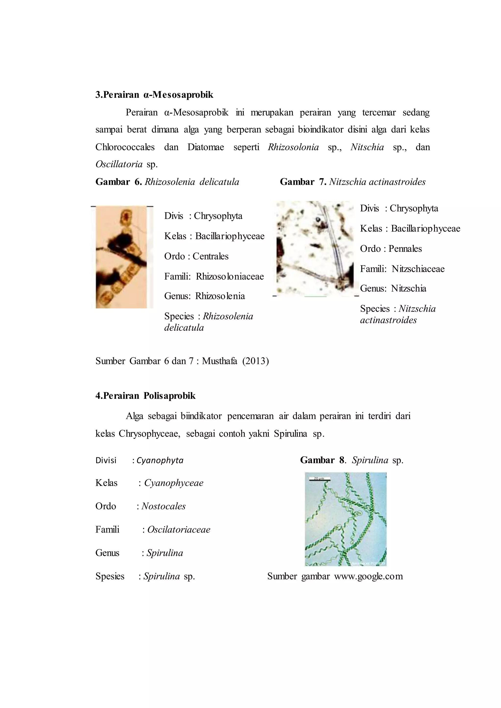 Alga bioindikator | DOCX