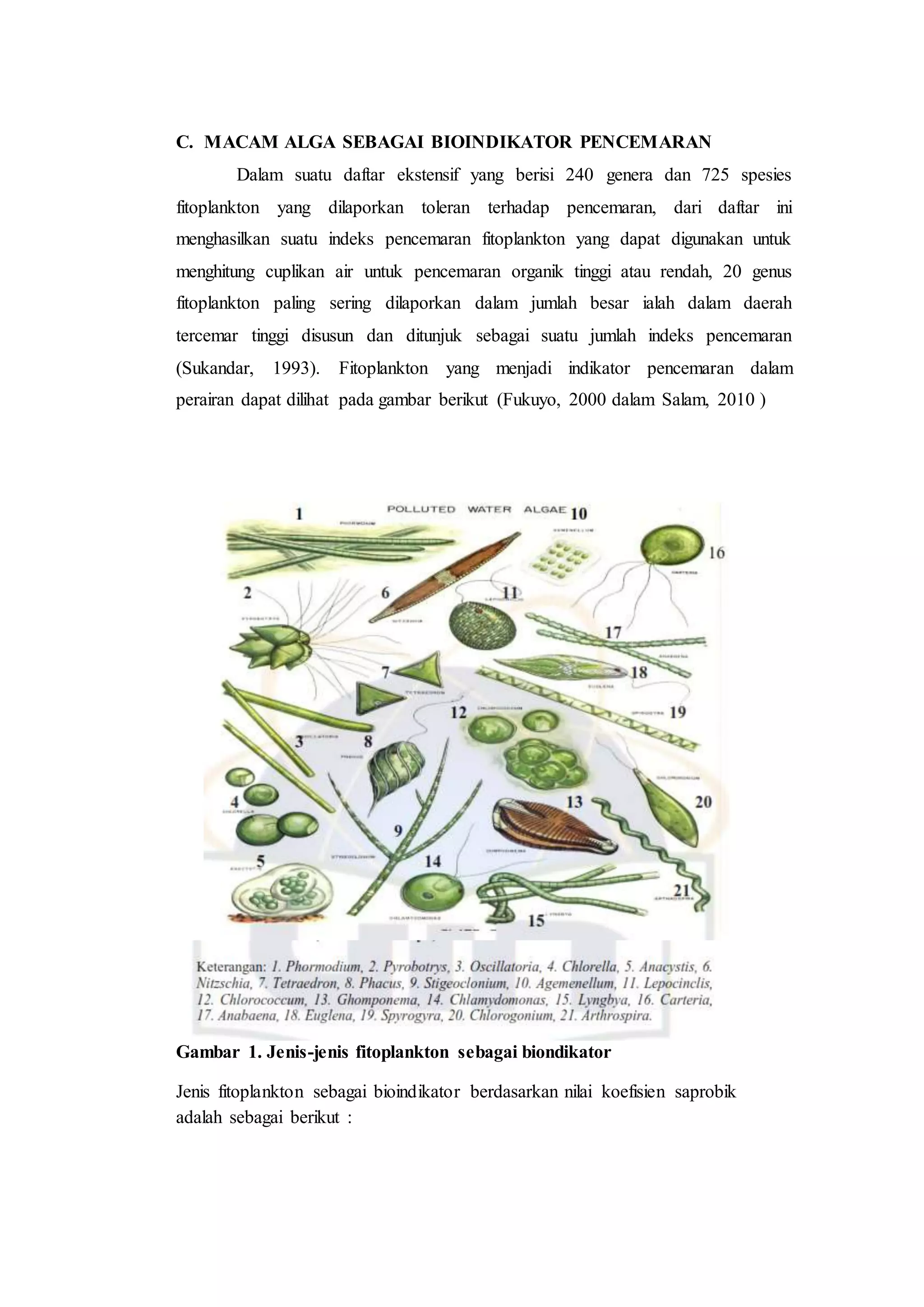 Alga bioindikator | DOCX