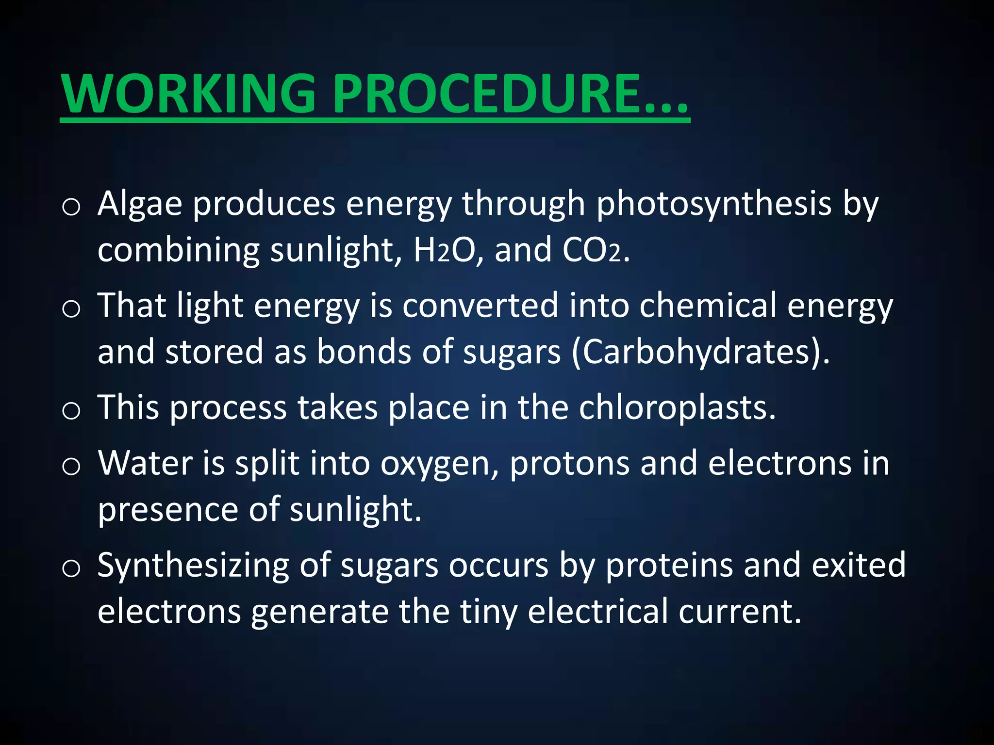 Energy From Algae Using Microbial Fuel Cells | PPTX