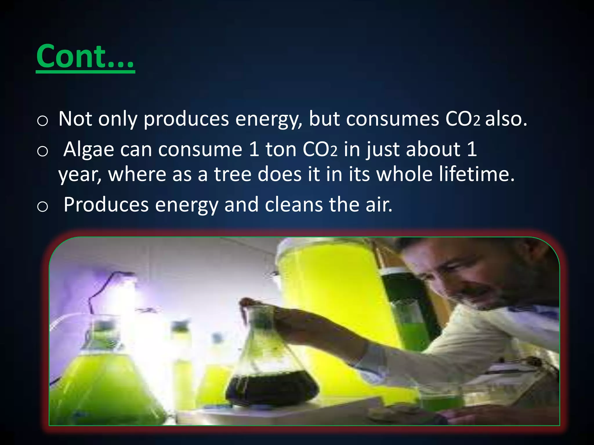 Energy From Algae Using Microbial Fuel Cells | PPTX