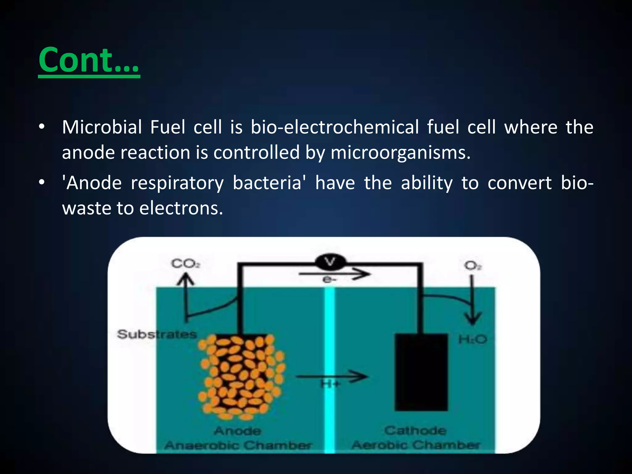 Energy From Algae Using Microbial Fuel Cells | PPTX