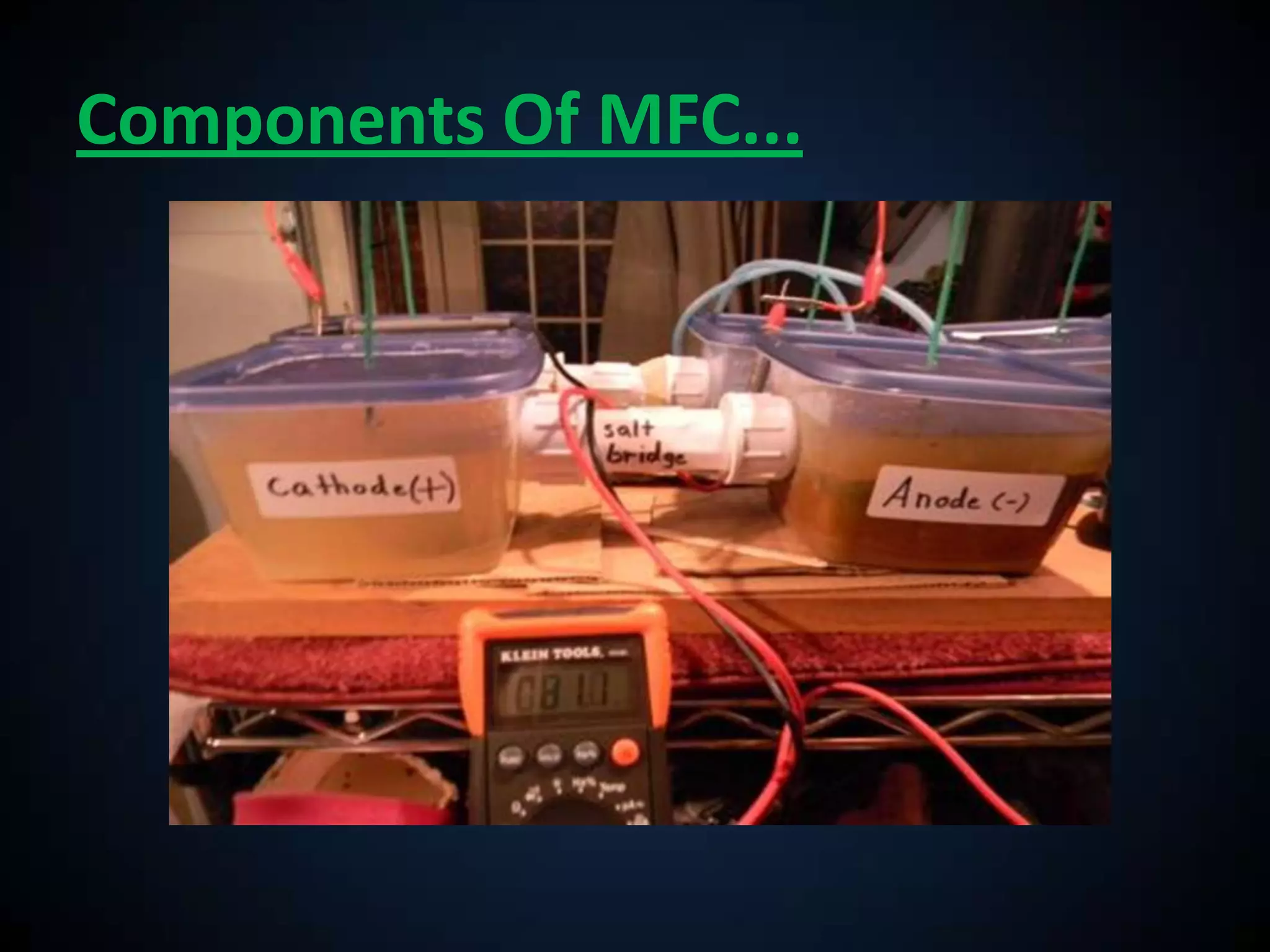 Energy From Algae Using Microbial Fuel Cells | PPTX