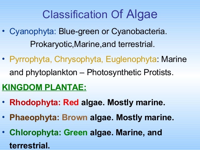 Algae General Characters And Classification