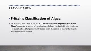 Algae | PPTX