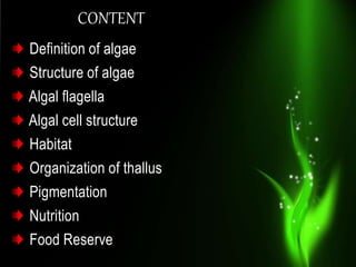 Algae | PPTX