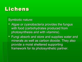 Algae | PPT