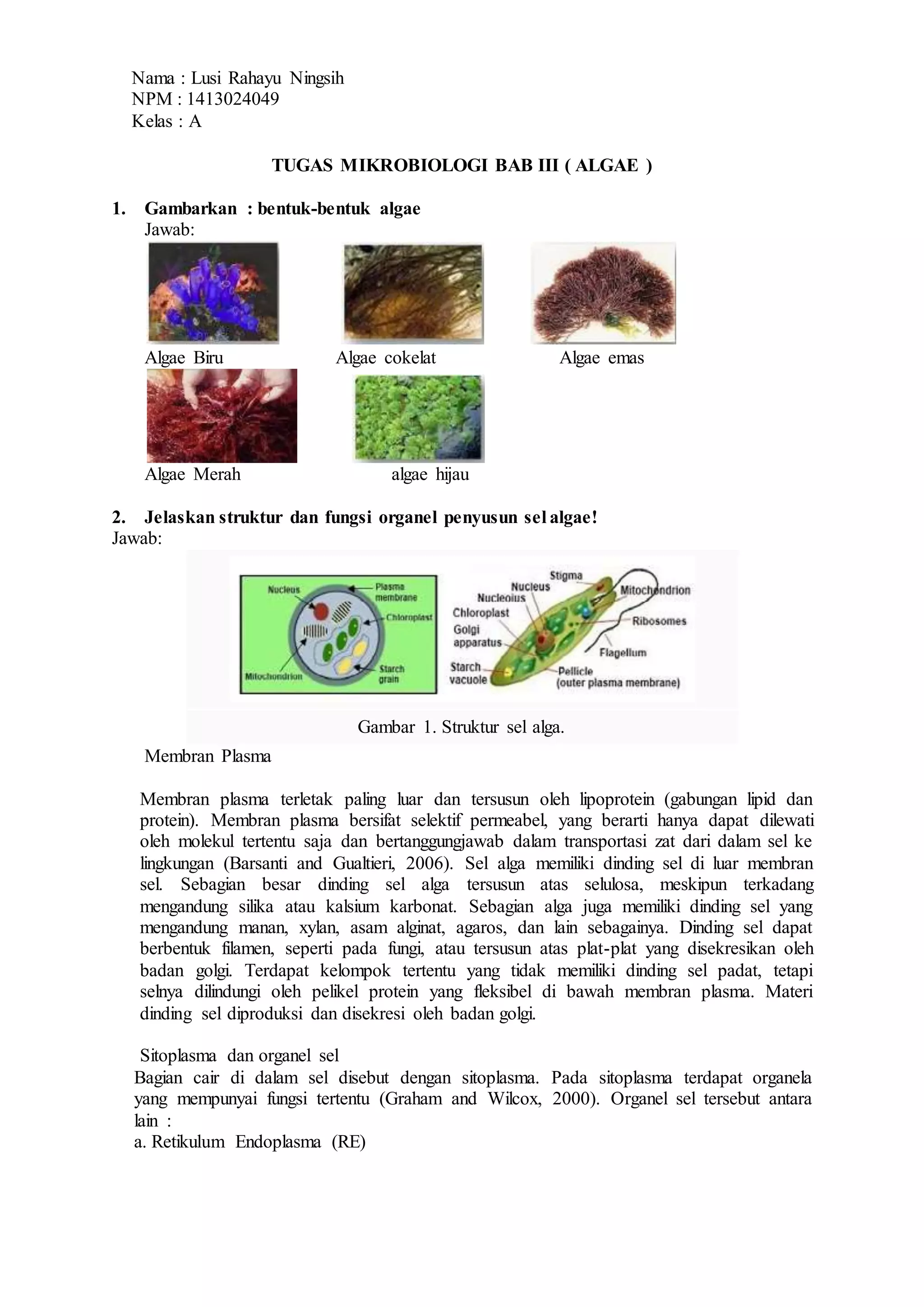 Algae | PDF