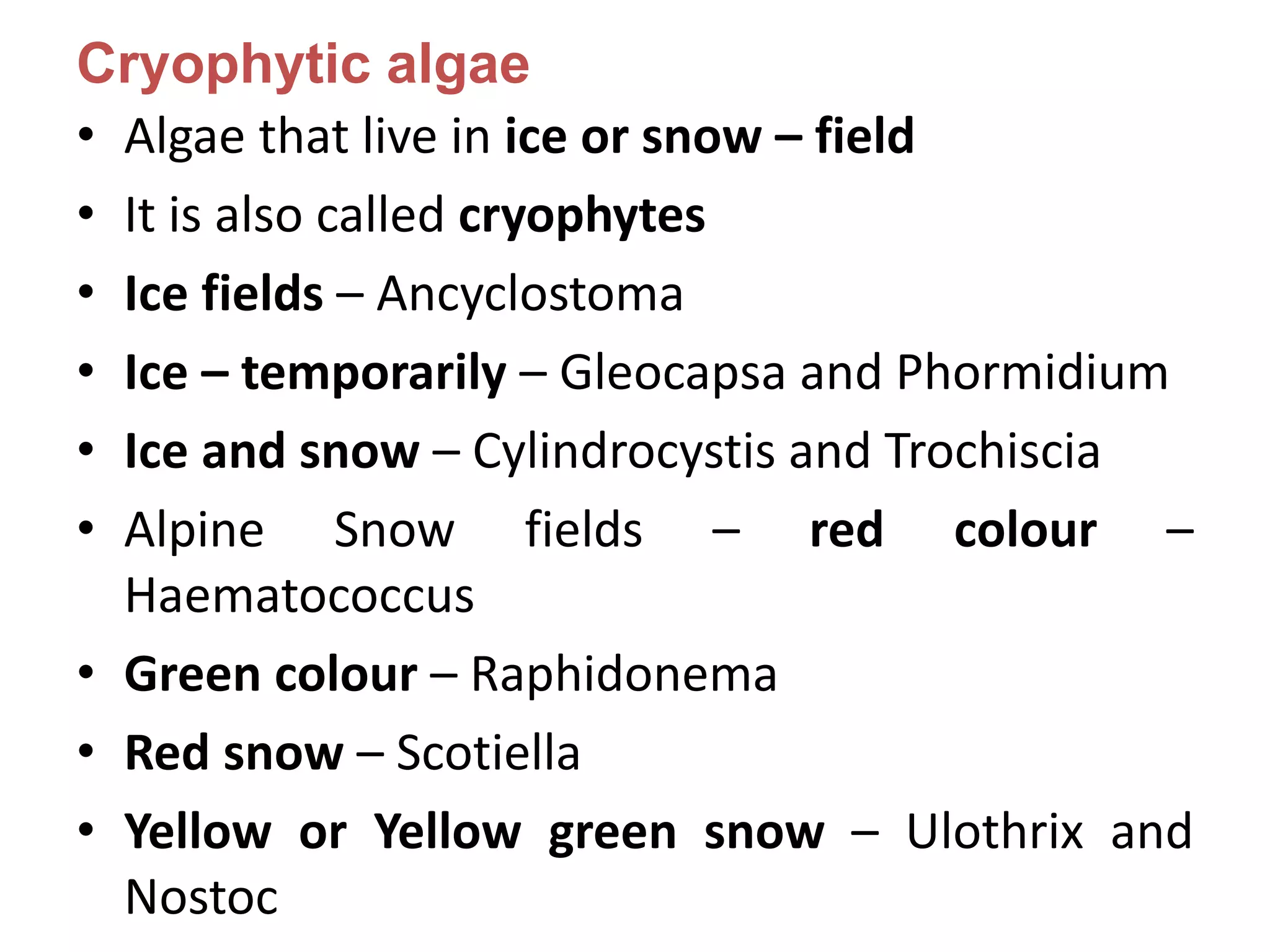 Algae | PPTX
