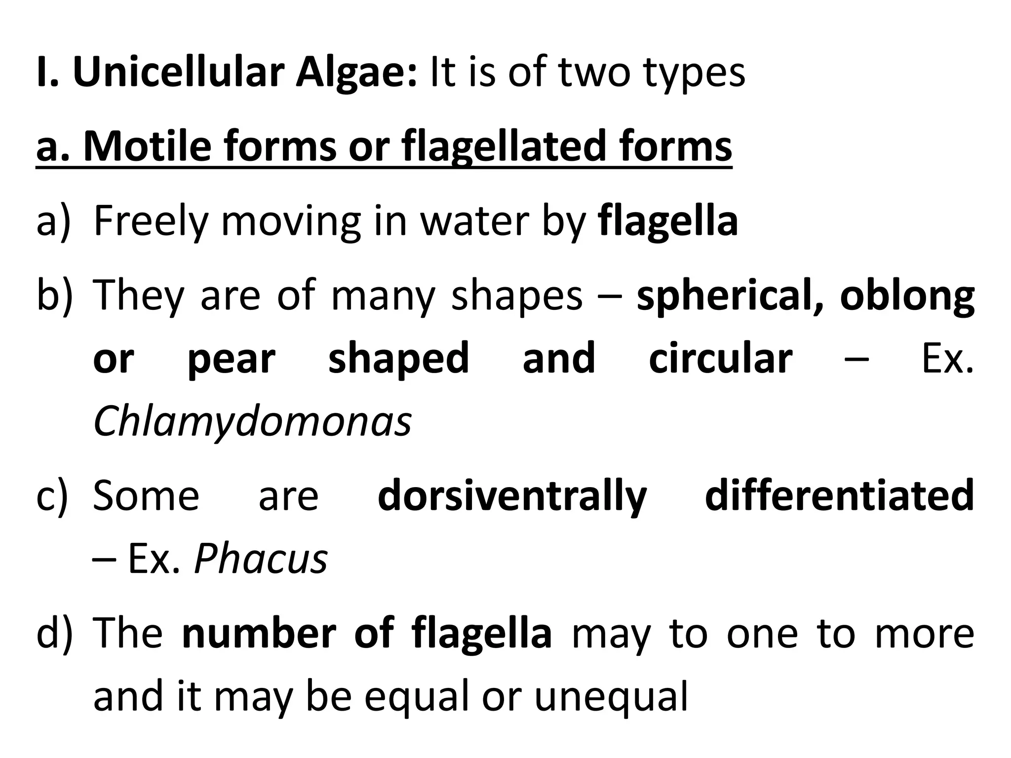 Algae | PPTX