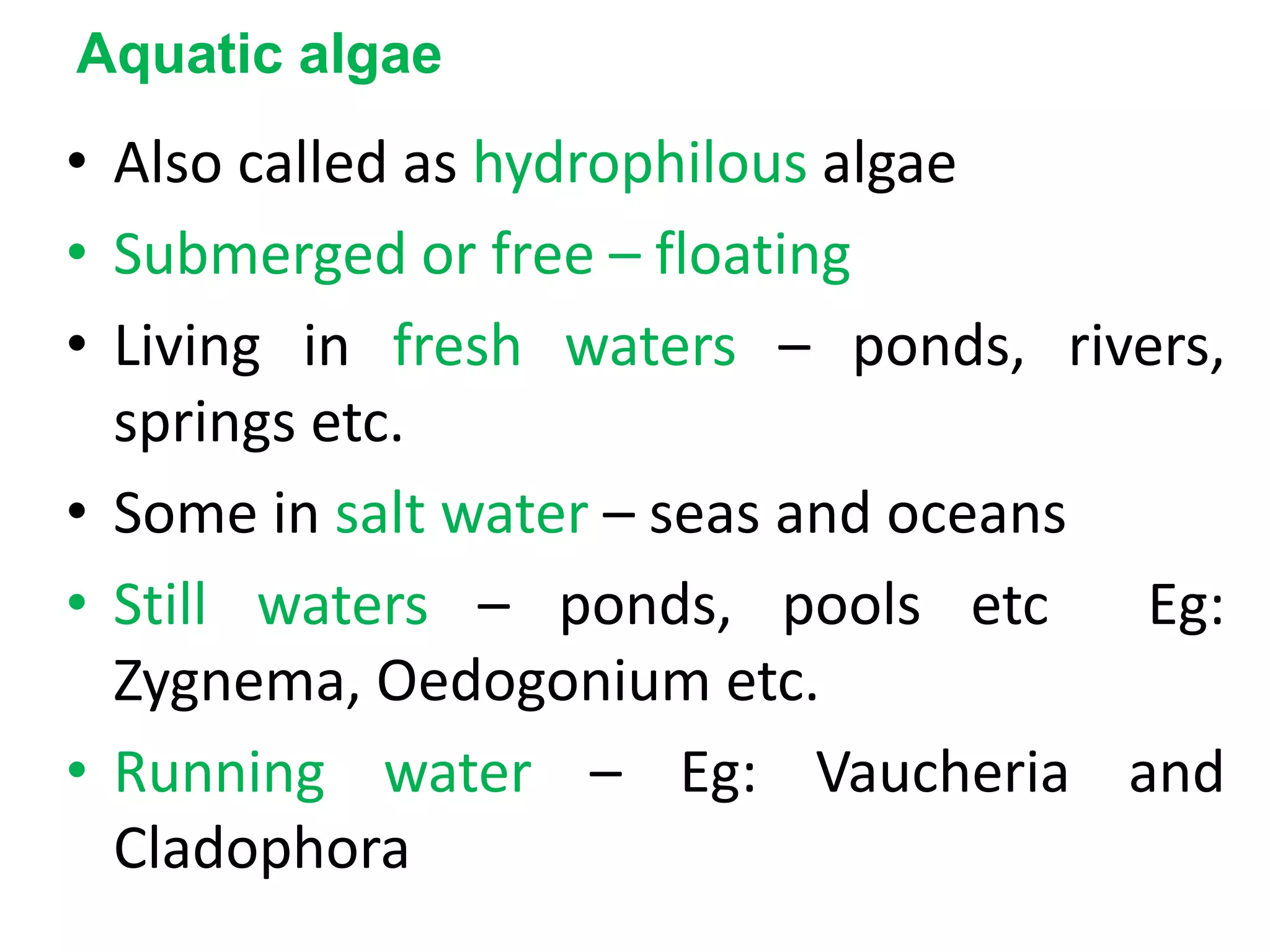 Algae | PPTX