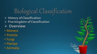 five kingdom classification | PPT
