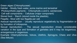 five kingdom classification | PPTX