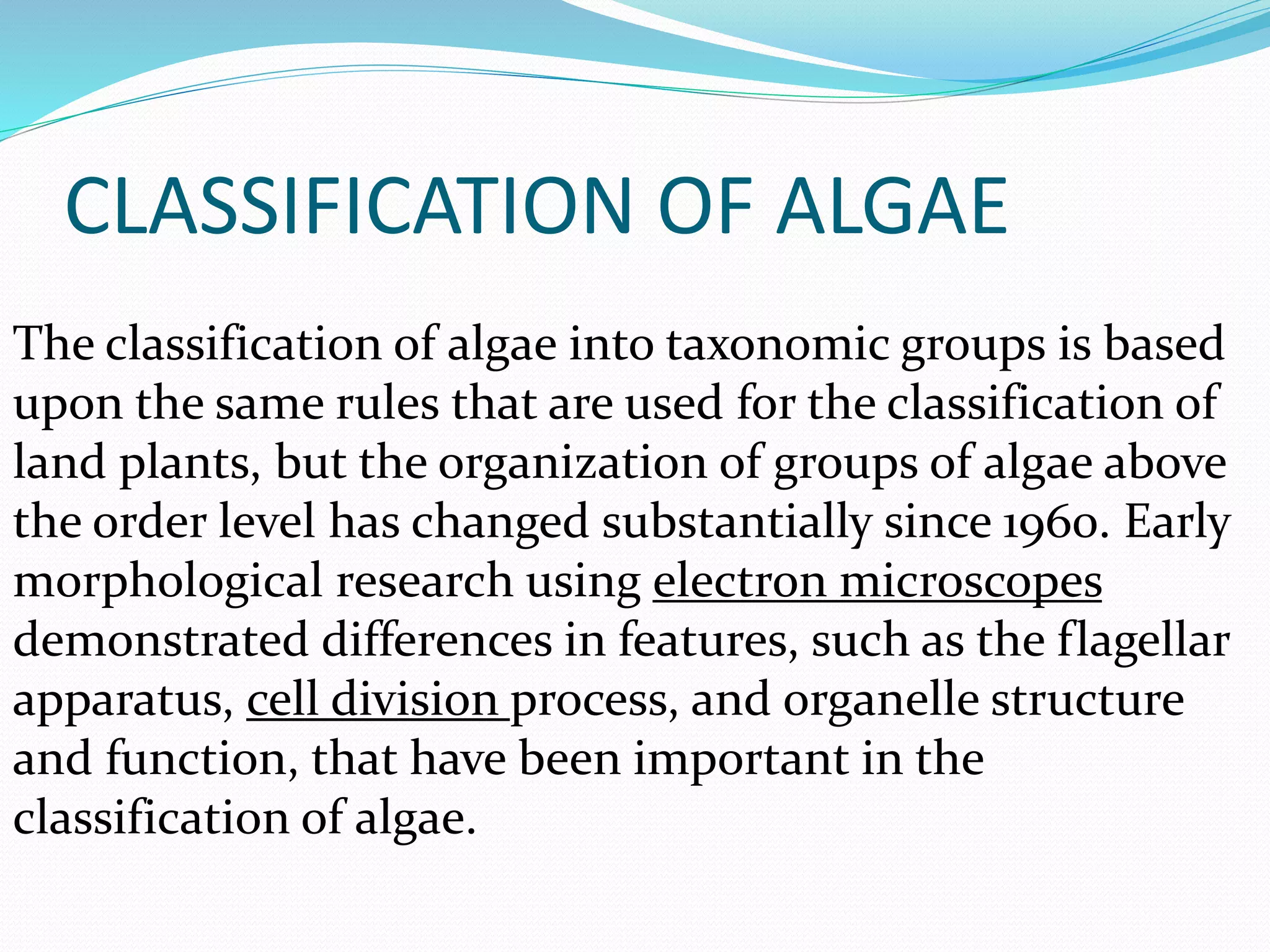 Algae | PPTX | Biological Sciences | Science