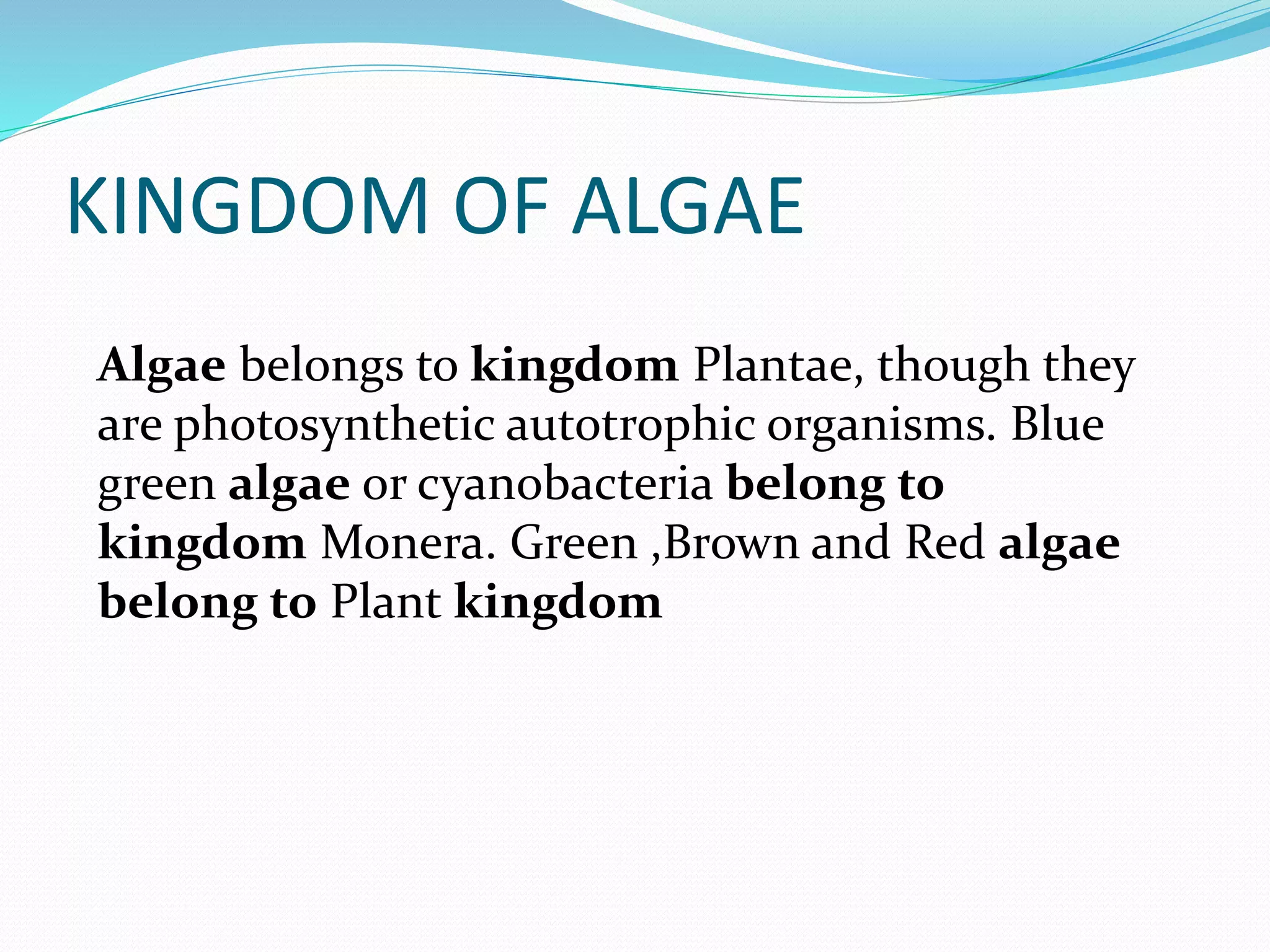 Algae | PPTX | Biological Sciences | Science