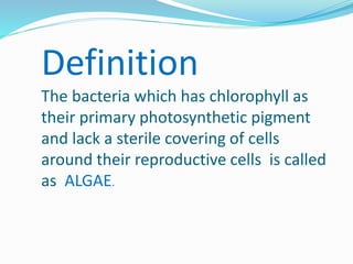 Algae | PPTX | Biological Sciences | Science