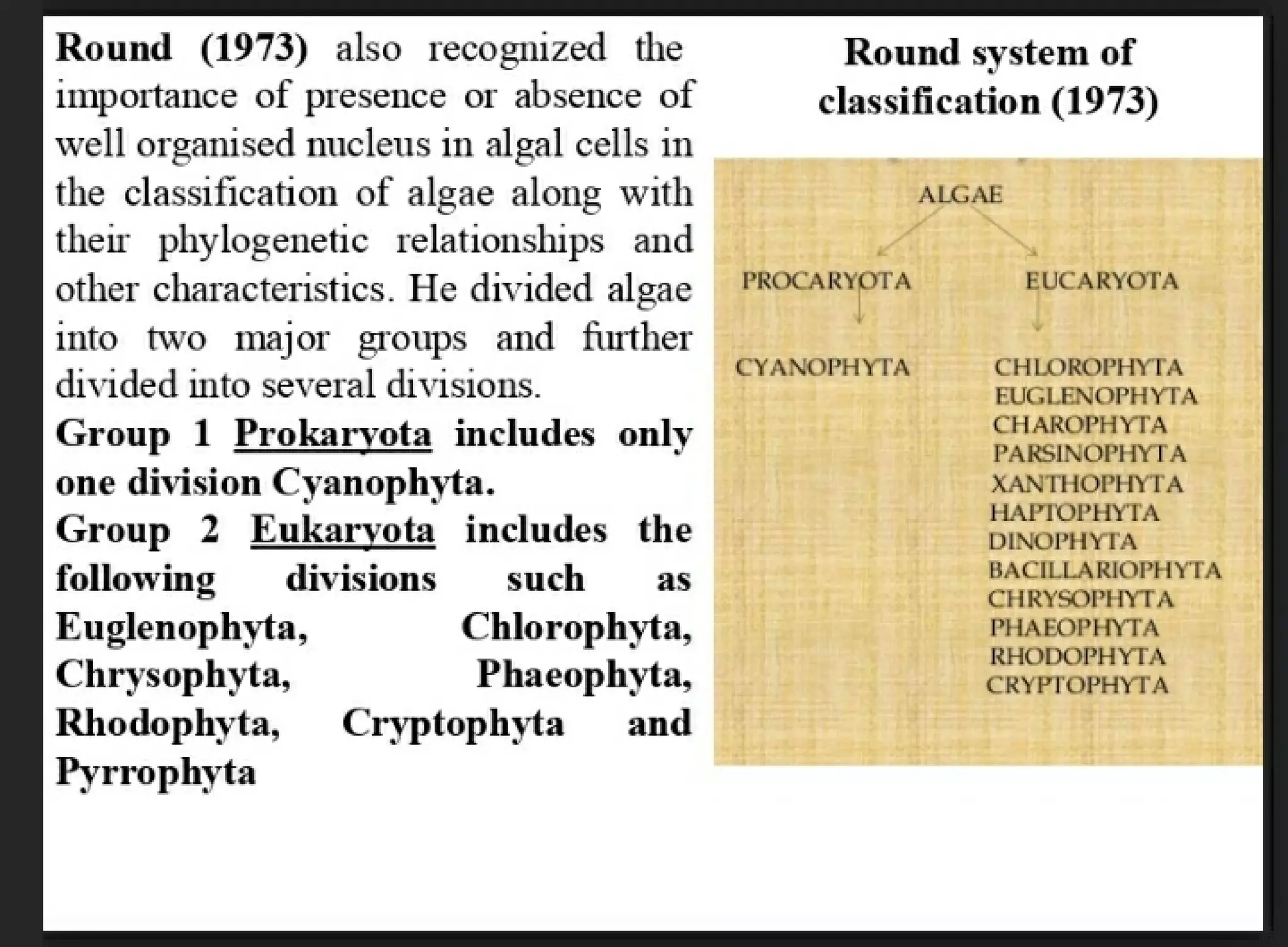 Algae And There Classification Based On Different Features Structure