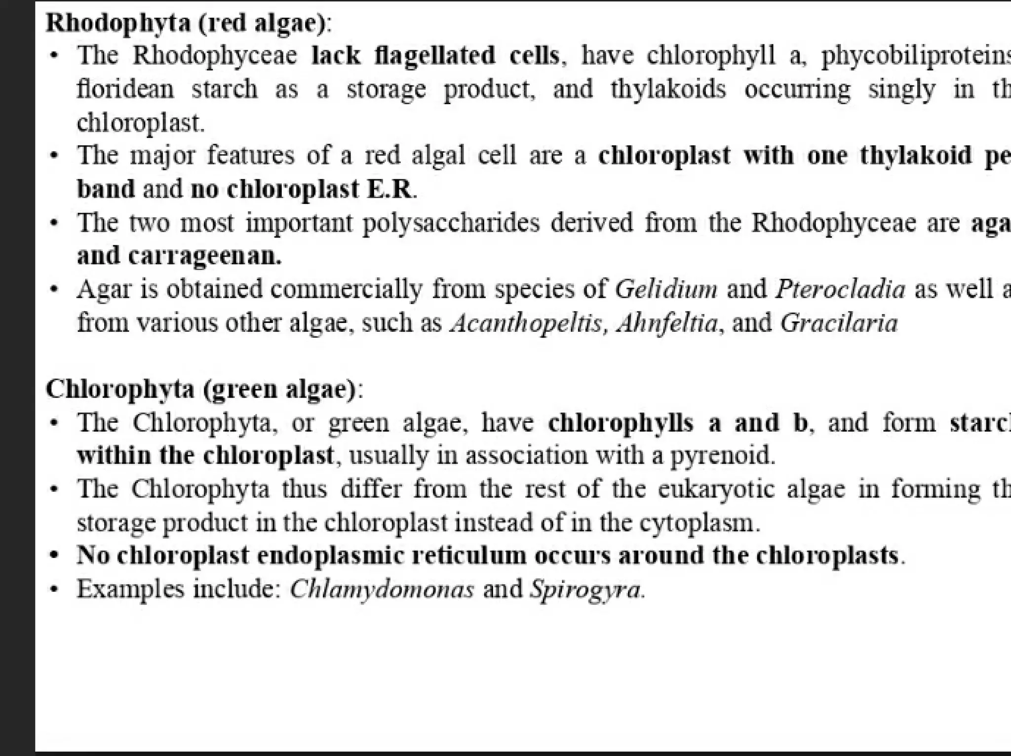 Algae And There Classification Based On Different Features Structure