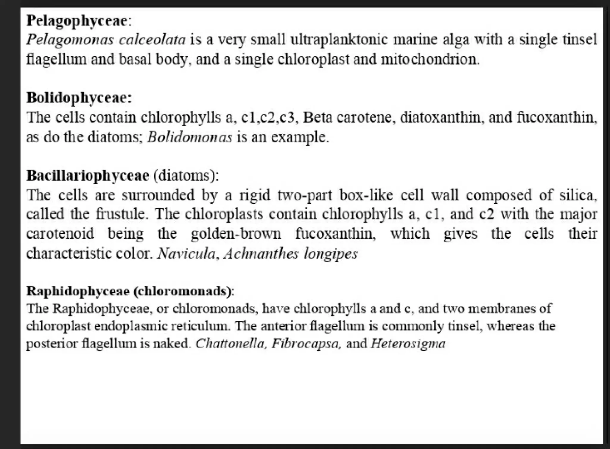 Algae And There Classification Based On Different Features Structure