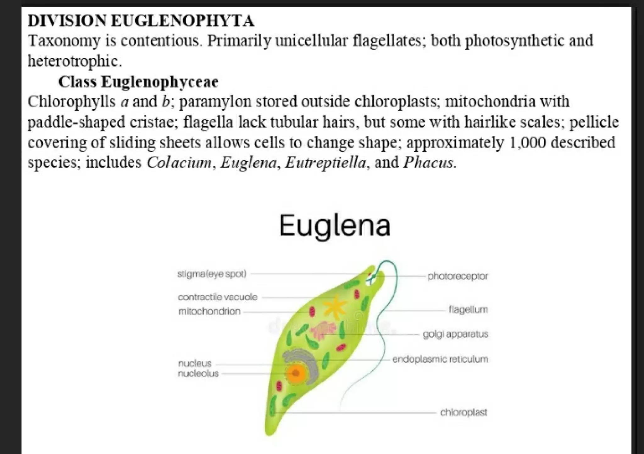 Algae And There Classification Based On Different Features Structure
