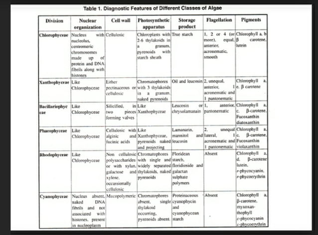 Algae and there classification based on different features, structure ...