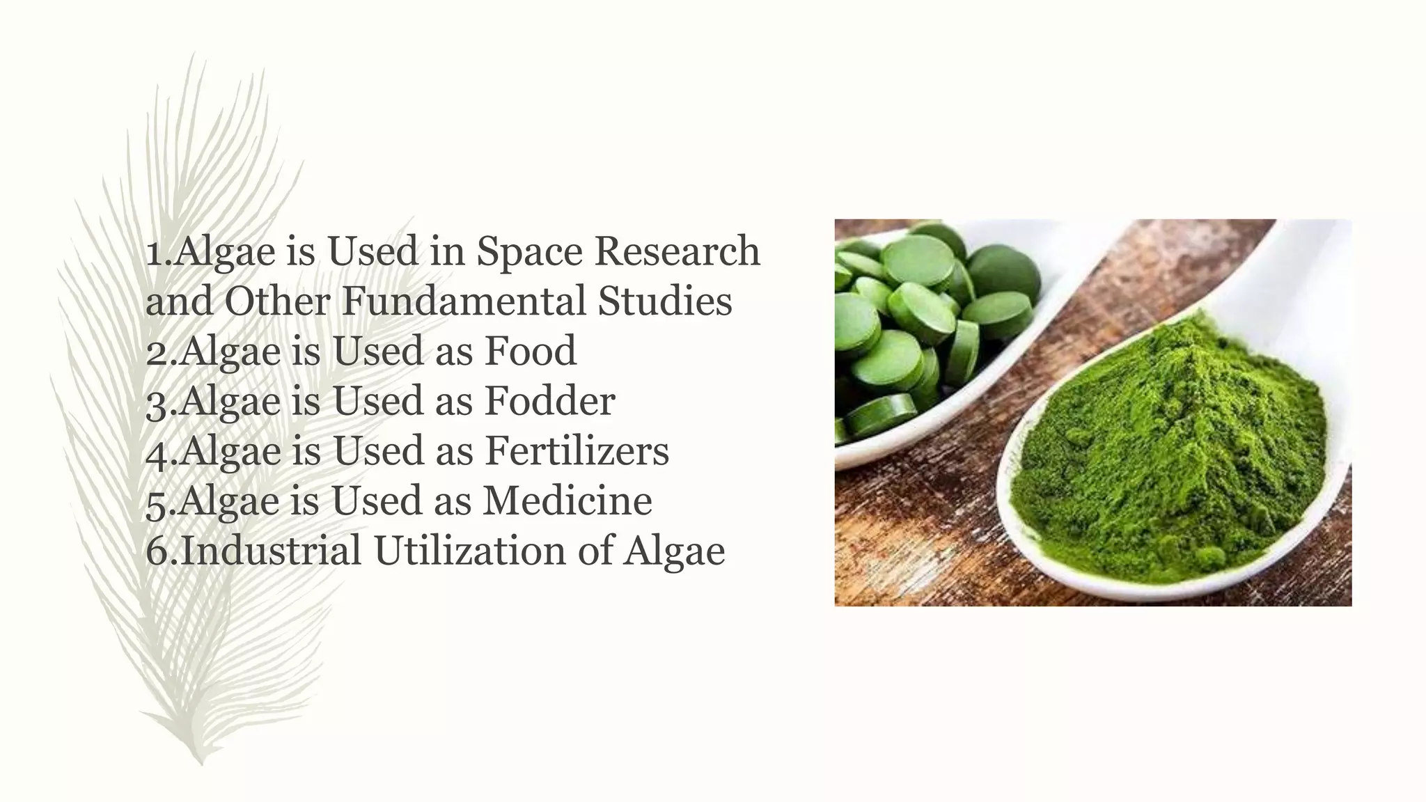 Algae (DIVERSITY OF MICROBES) | PPTX