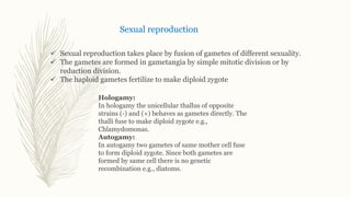 Algae (DIVERSITY OF MICROBES) | PPTX
