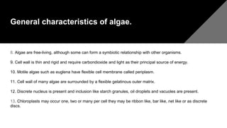 Algae | PPTX