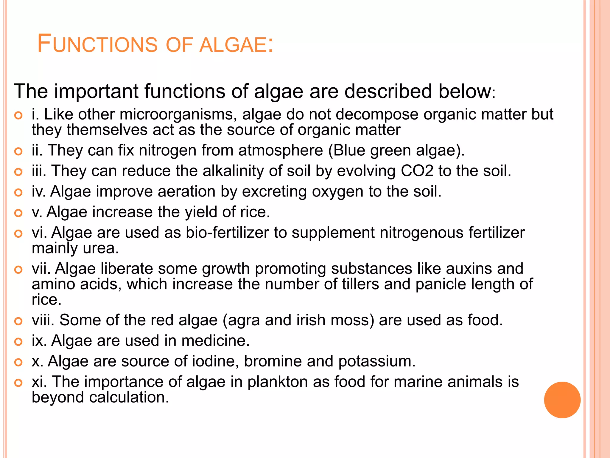 Algae | PPTX