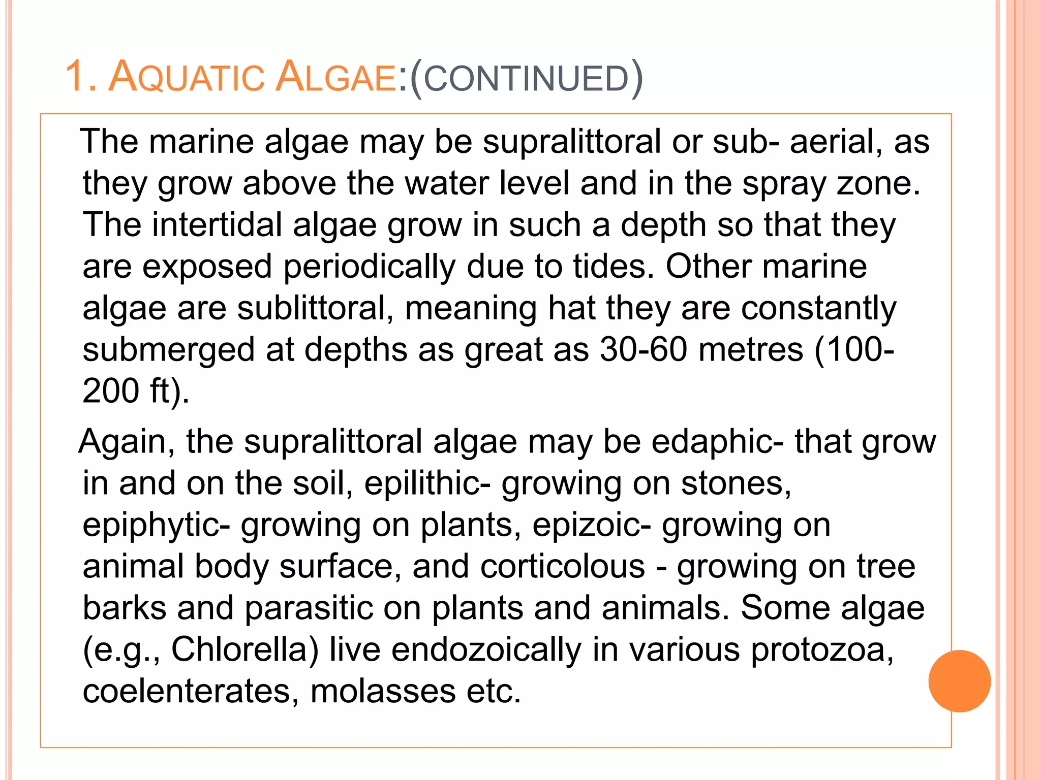 Algae | PPTX